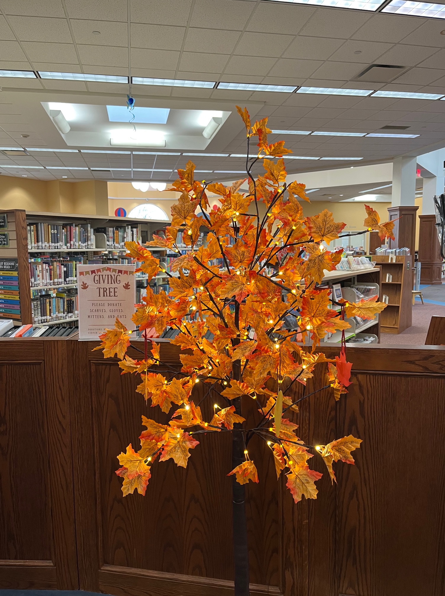 The Giving Tree Keeps Giving – Sincerely, Cornelius